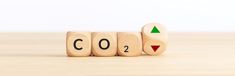 Minimize Your Business's Environmental Impact with Digicast | Digicast